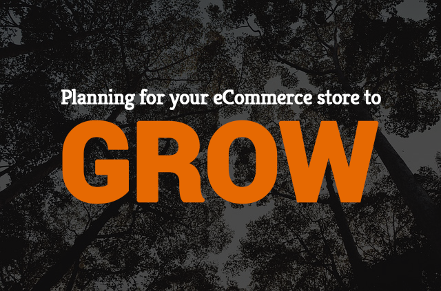eCommerce Strategy: Achieving eCommerce Growth | nChannel Blog eCommerce Strategy: Achieving eCommerce Growth | nChannel Blog